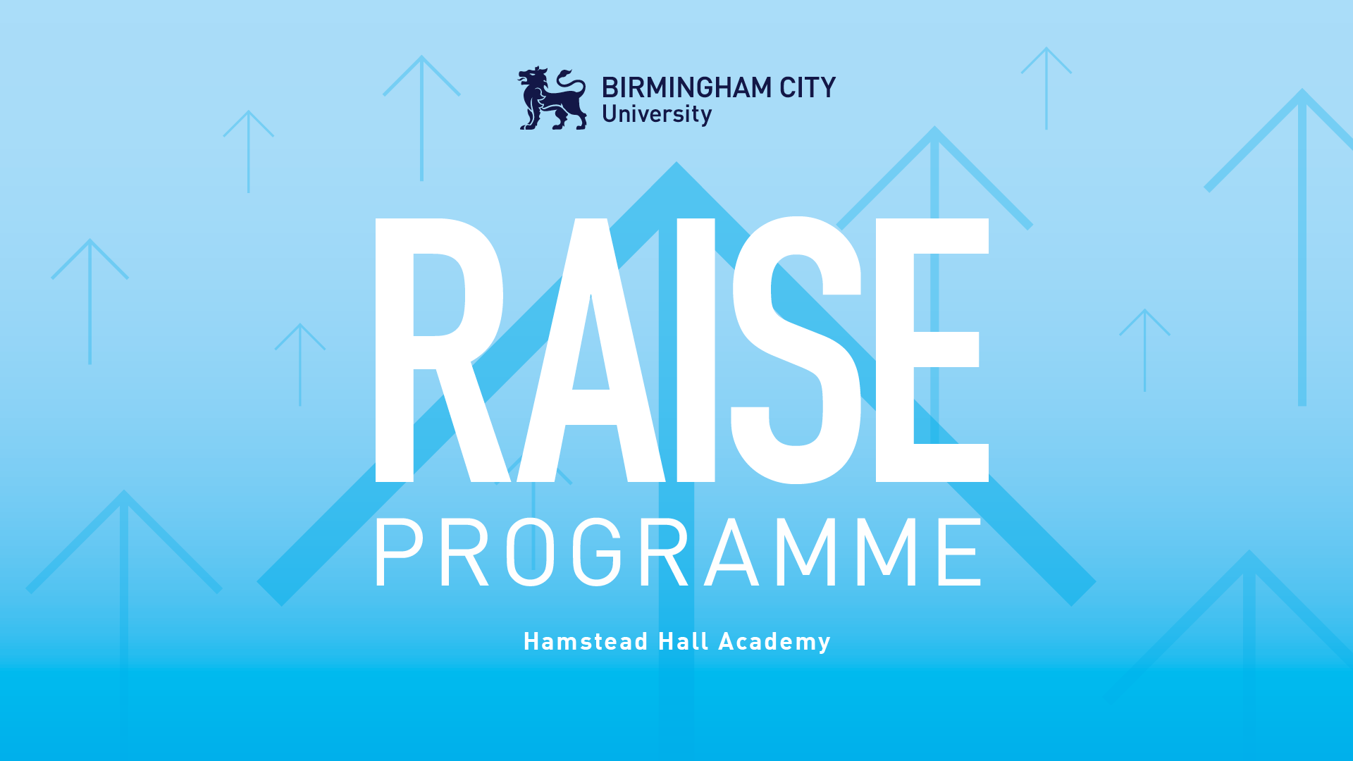 Hamstead Hall Academy - BCU Forward RAISE programme
